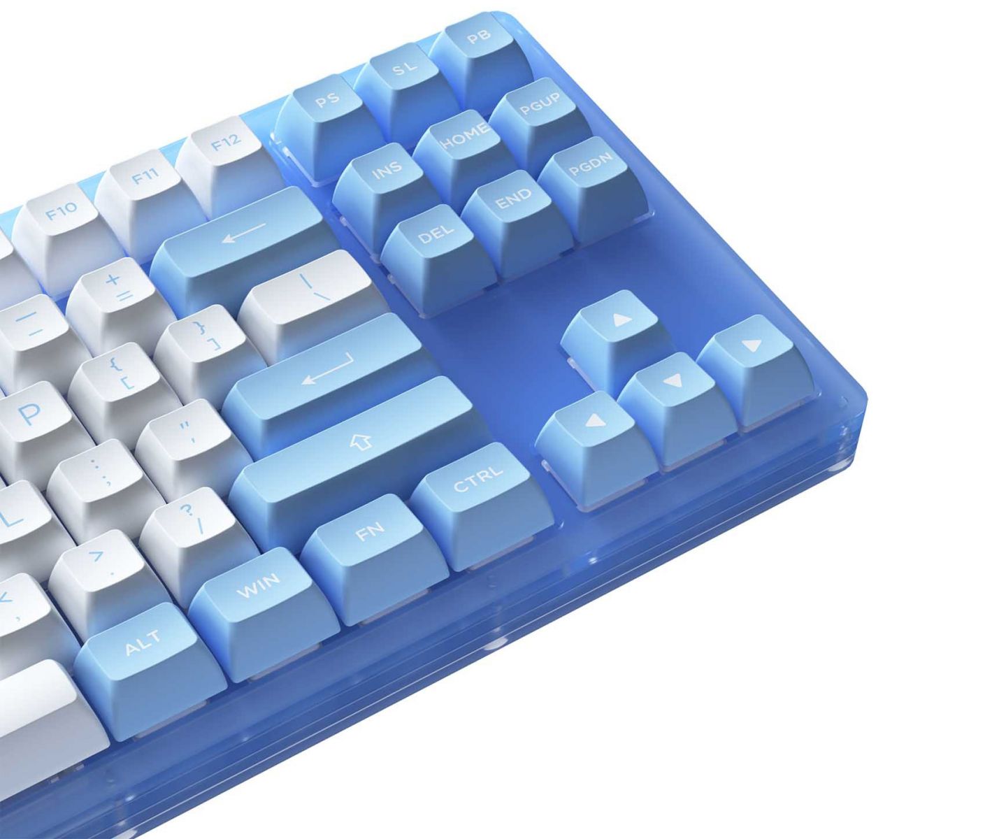 Bàn phím cơ AKKO ACR61 Blue AKKO CS Jelly Blue switch